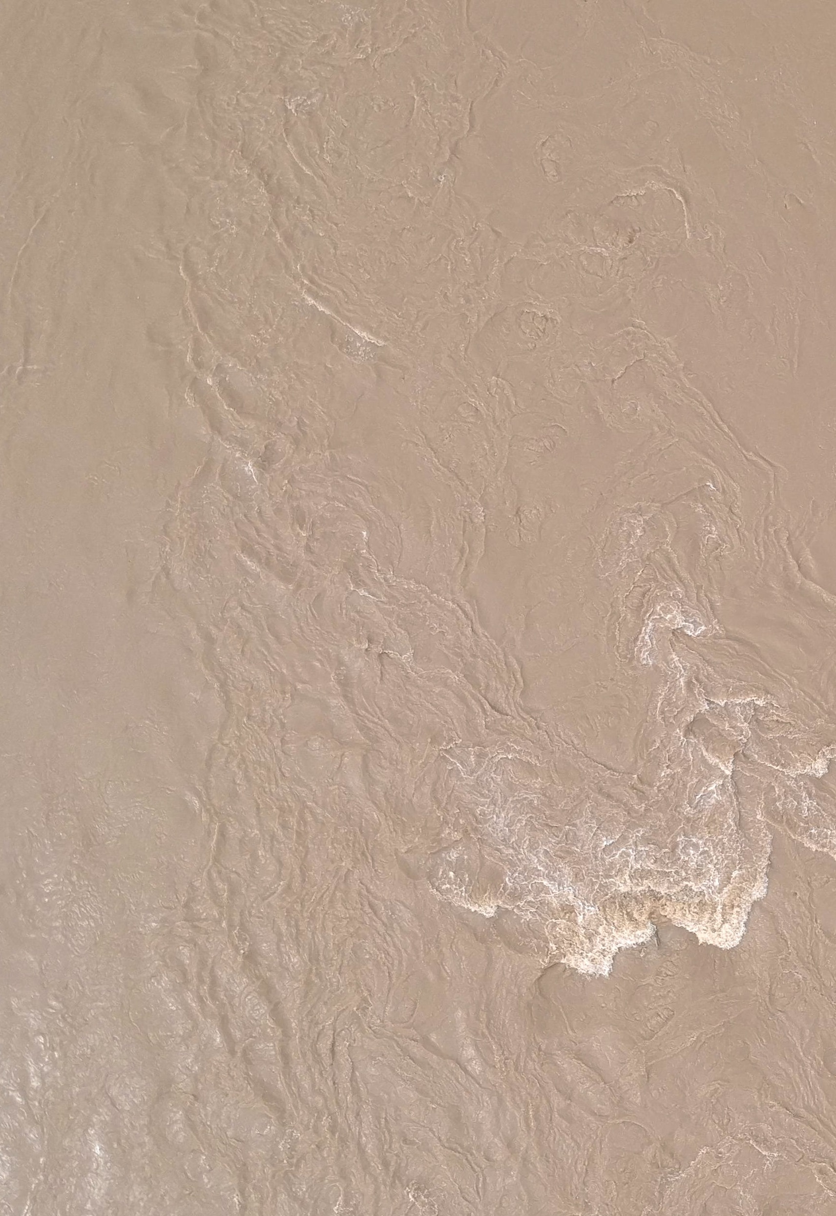 Litany (Easter) – swamp pink