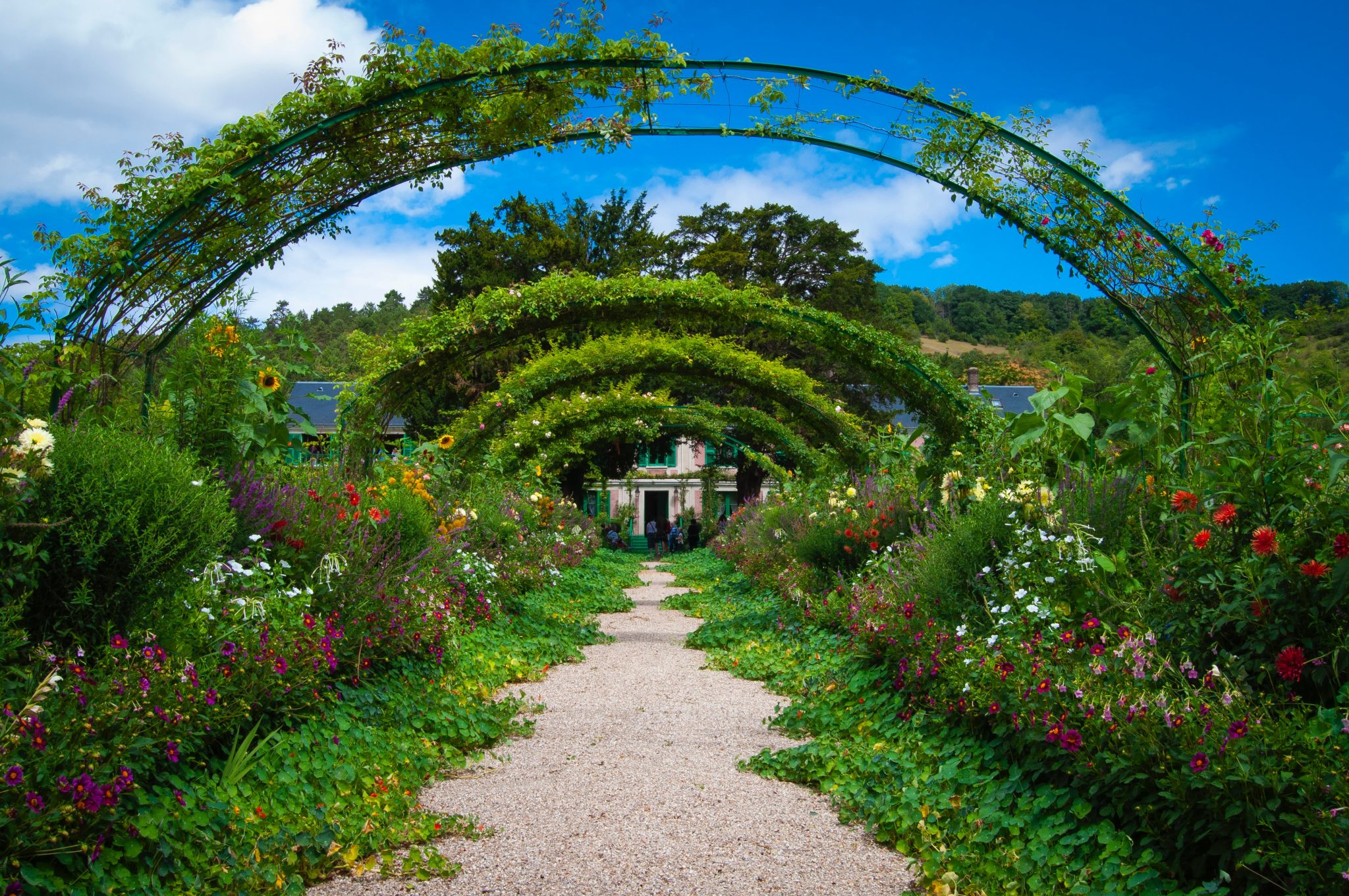 Joy Is the Garden: A Review of Ross Gay and Aimee Nezhukumatathil’s ...