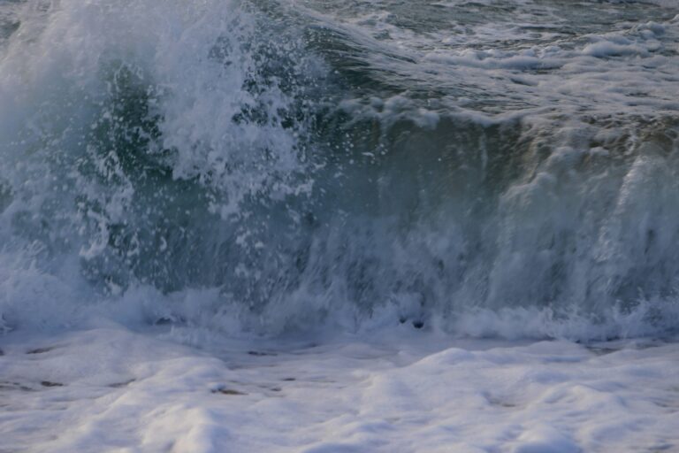 Nature 2 – swamp pink