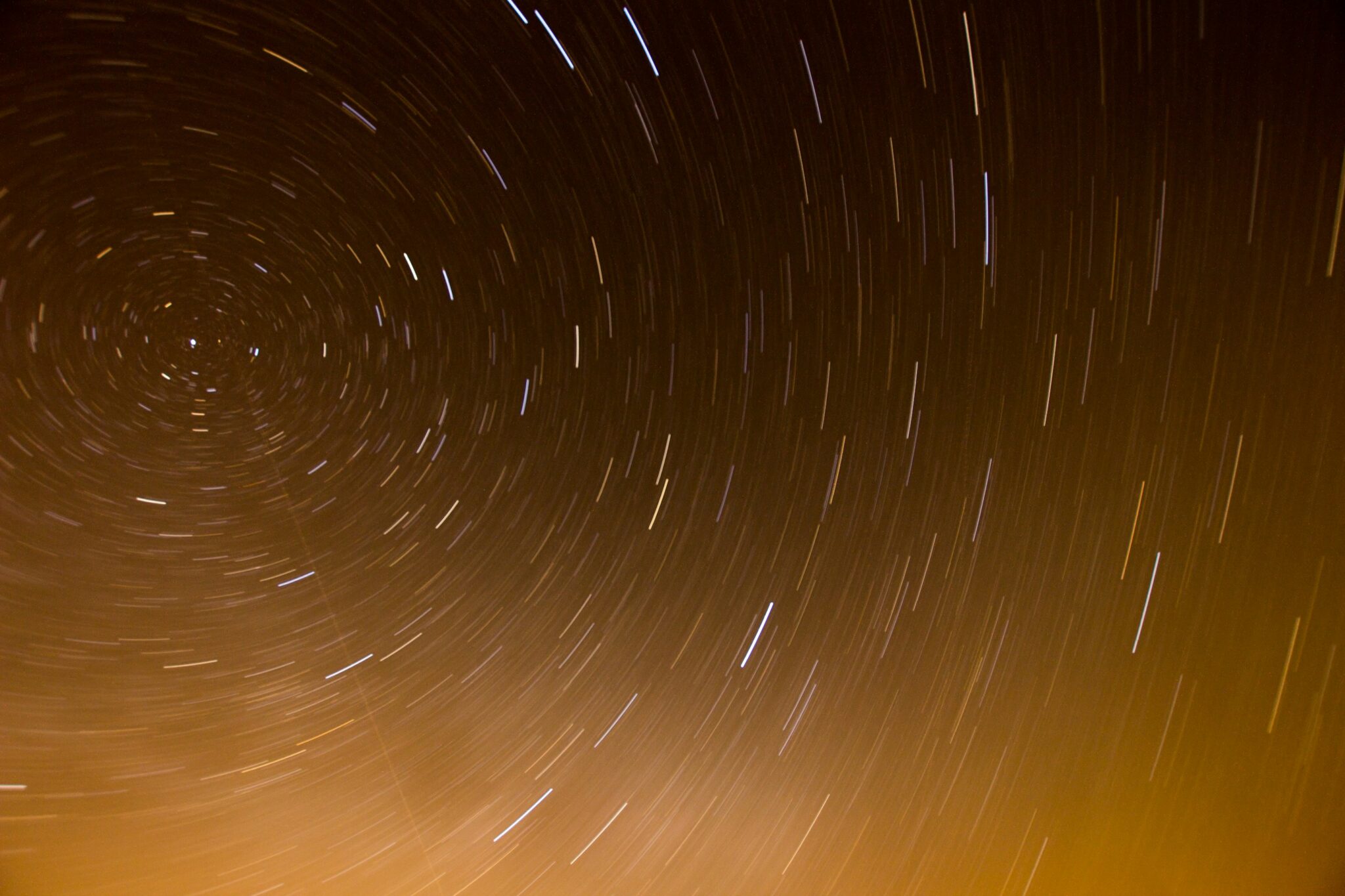 swamp pink – Literary magazine