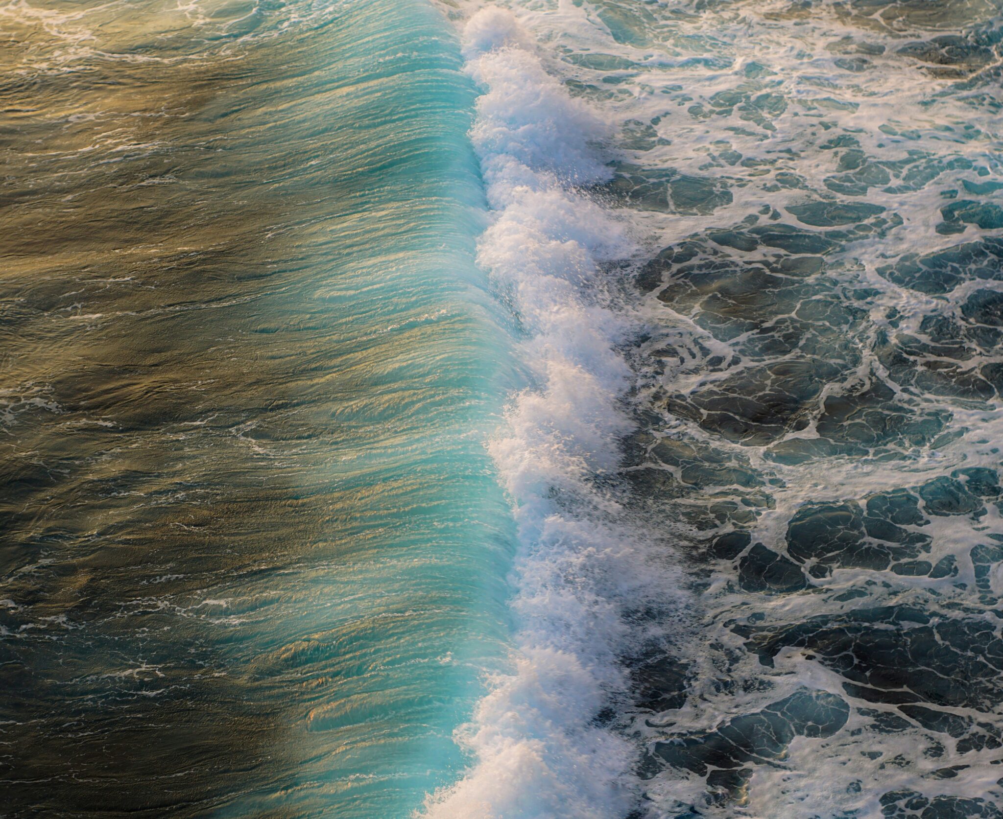 Collision of Water – swamp pink