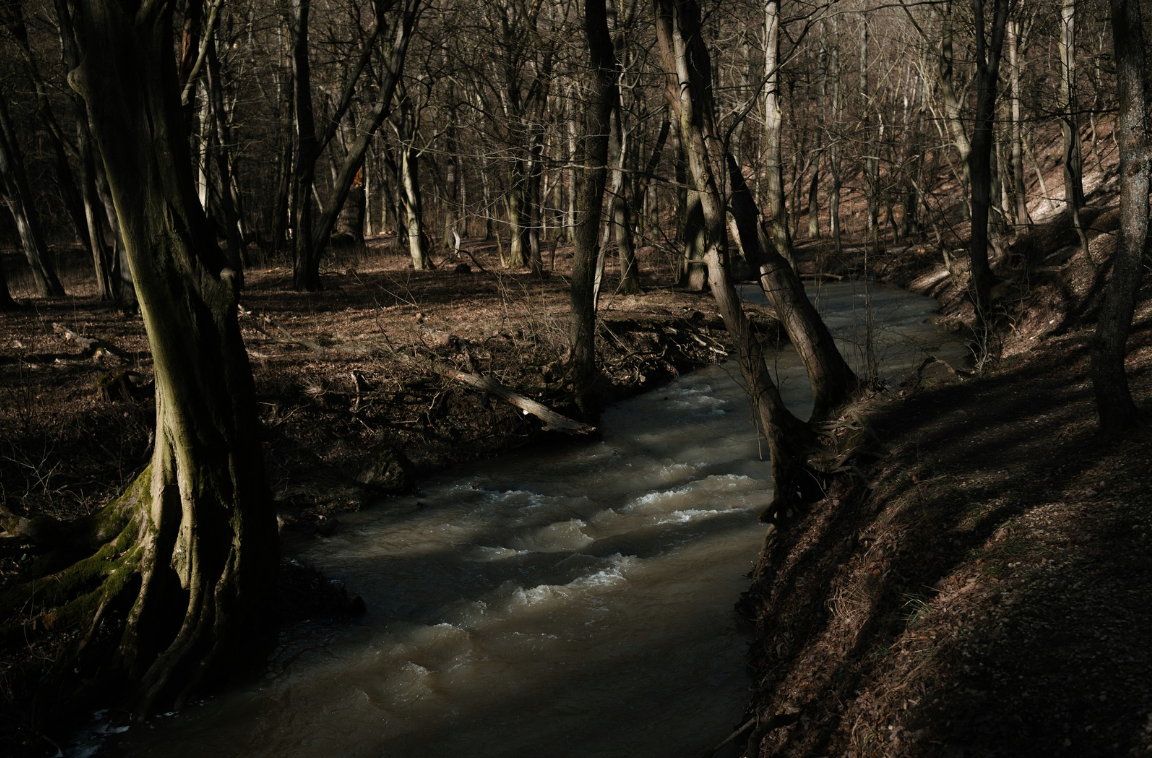 “Come to Ottawa. It’s Serious Fun.” – swamp pink